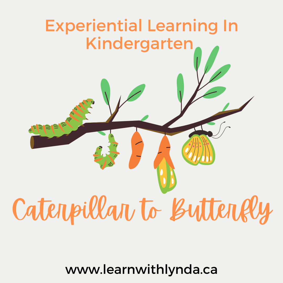 Experiential Learning In Kindergarten - Learn With Lynda