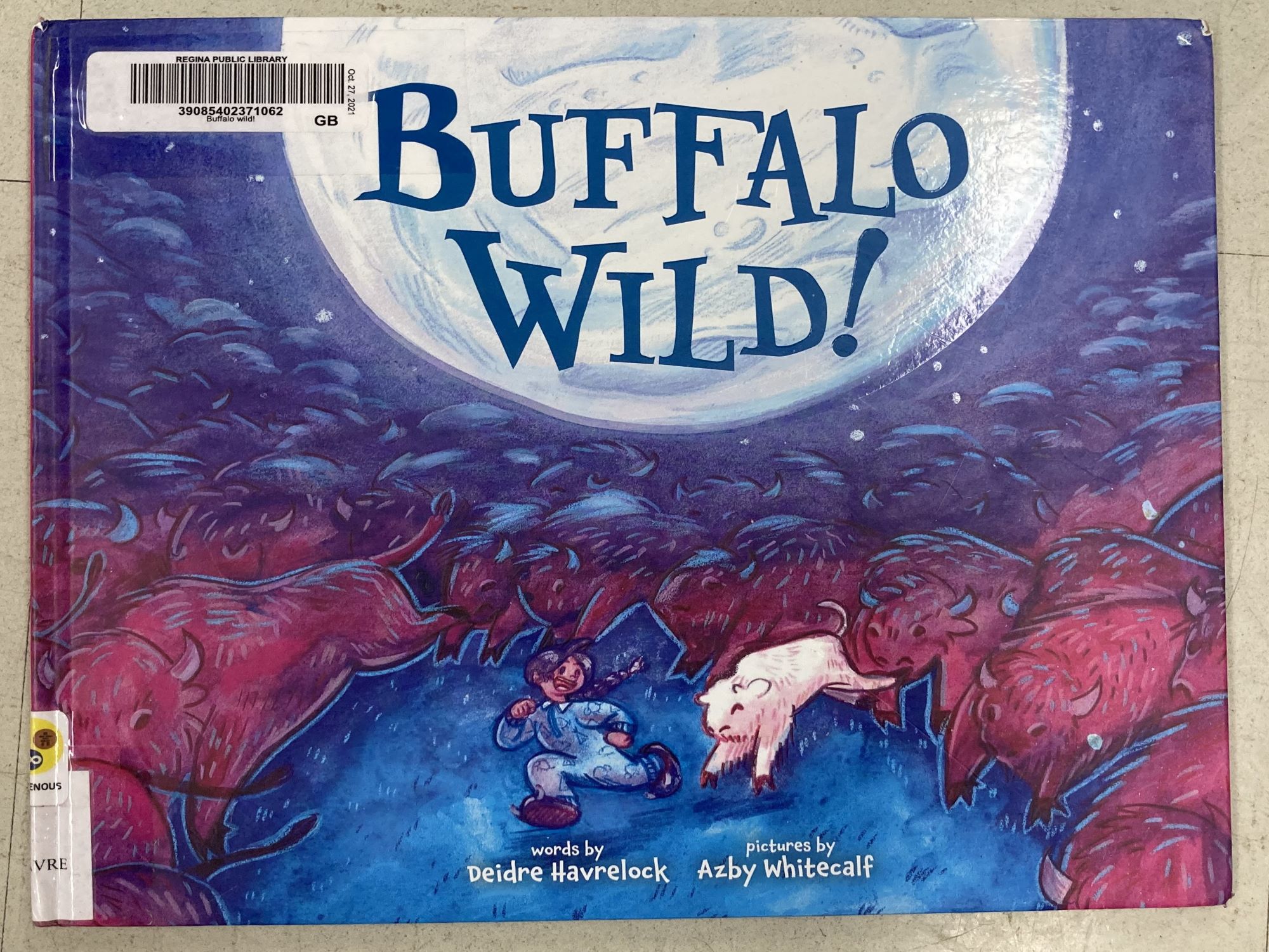 Learning About the Buffalo - Learn With Lynda