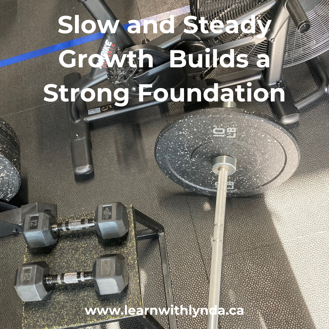 Slow and Steady Growth Builds a Strong Foundation - Learn With Lynda