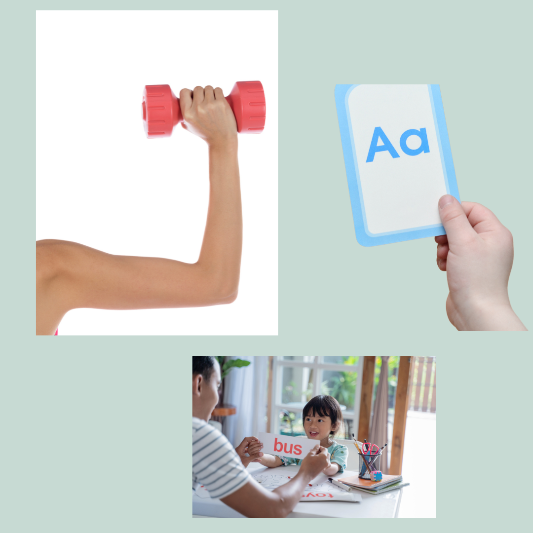 Slow and Steady Growth Builds a Strong Foundation - Learn With Lynda