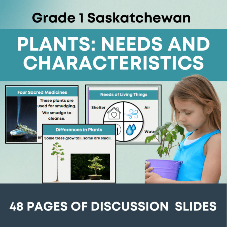 Learning about Plants in Grade 1 - Learn With Lynda